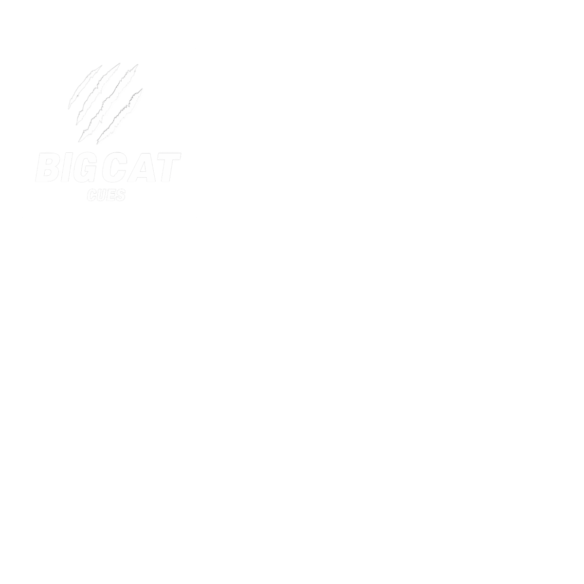 Players Pool Cue Identification: Everything You Need To Know | Big Cat Cues