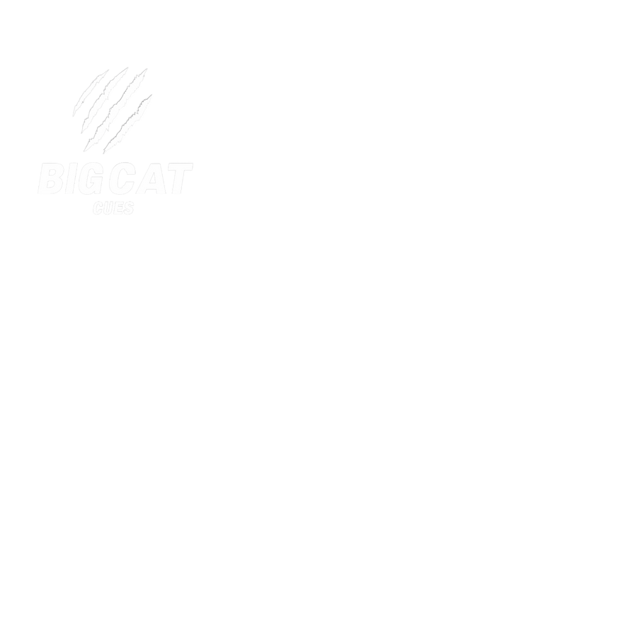 Pool Cue Weights: How to choose and Types Of Pool Stick | Big Cat Cues